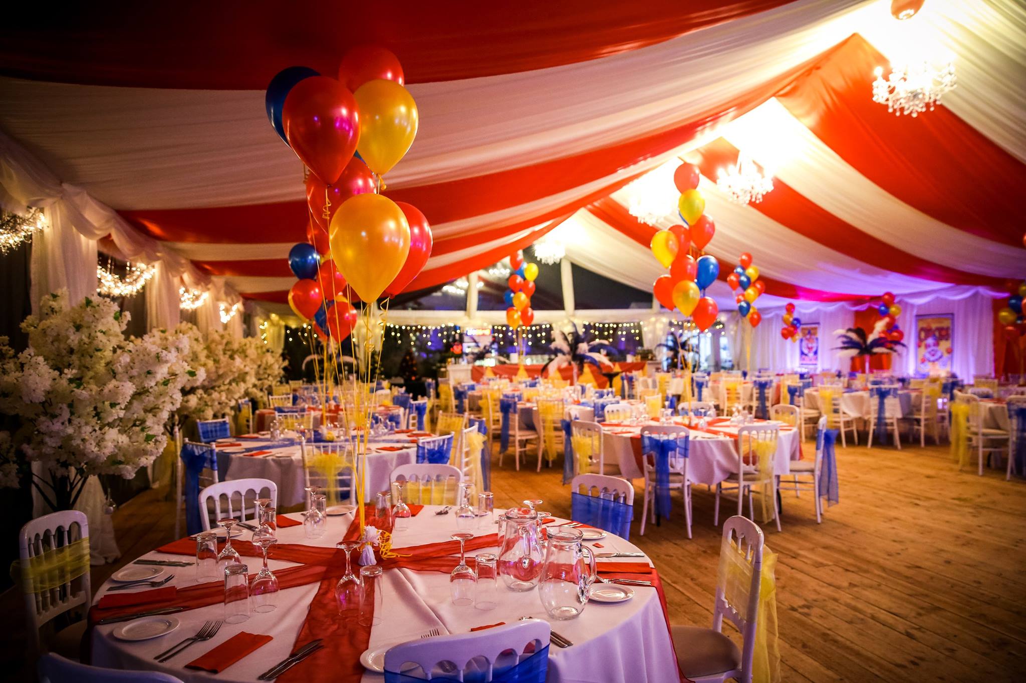 A Night at the Circus: New Year 2017 at Hockwold Hall – Hockwold Hall